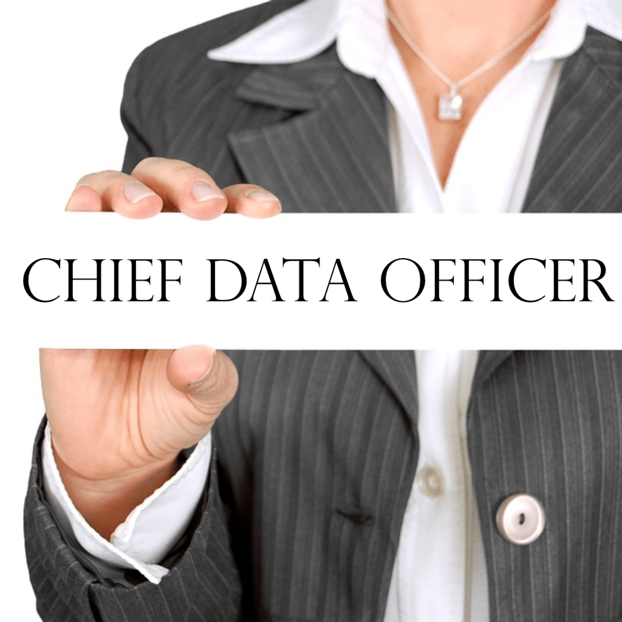 Big Data’s Person of the Year: The Chief Data Officer | 7wData